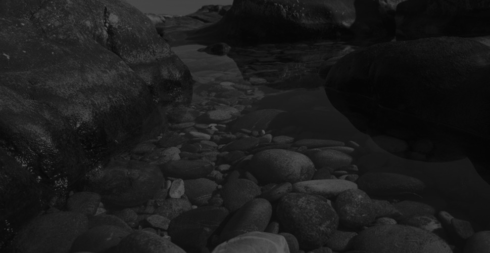 Apprentissage par l’enquête – Ce que les éducatrices et éducateurs ...